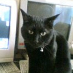 あきにゃんさんのプロフィールページ