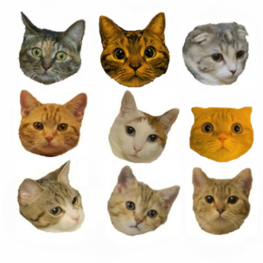 9Cats.