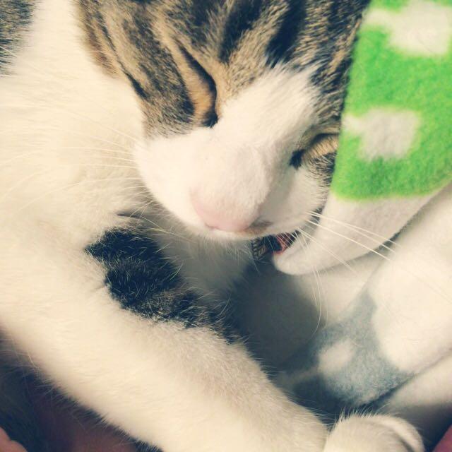 **ao**memory’s -3- | **ao**memory’s