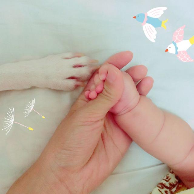 BT23 6w0d やはり | 両卵管切除。32歳2人目を授かる為、不妊治療開始