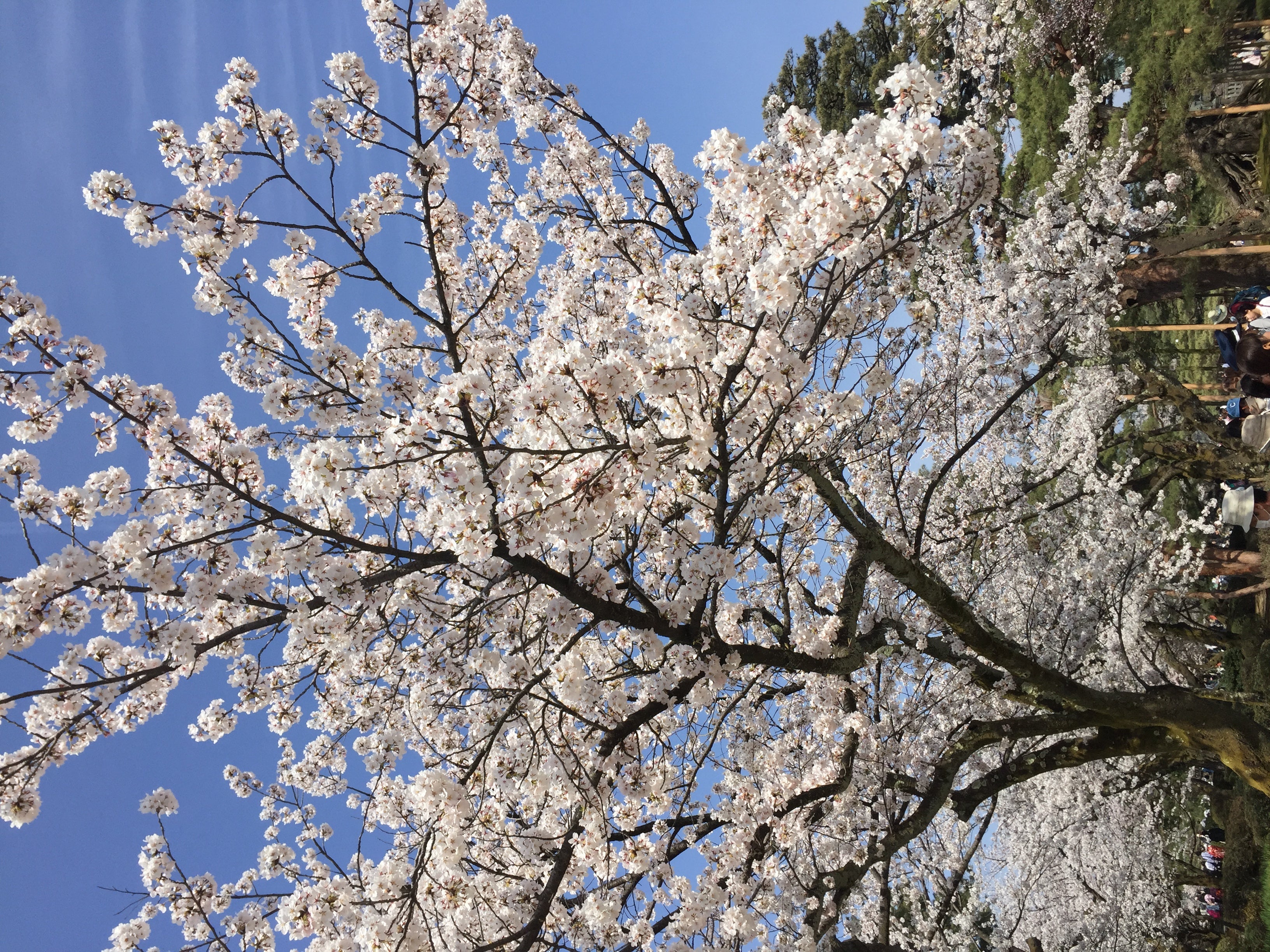 私の2016年から2025年までの大変化⑩ | mocoにも運命の人っているの？