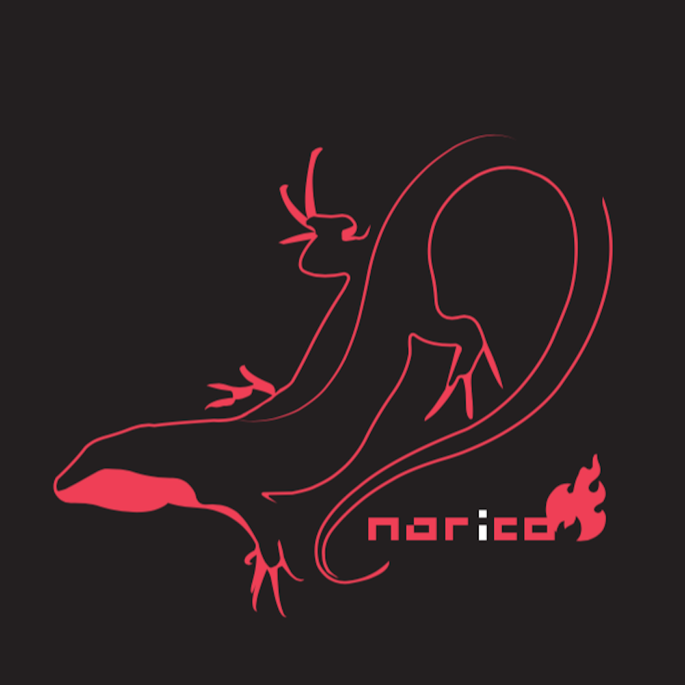 narico 音楽活動のはじまりはこんな感じでした | Kid naricoticが歌を歌ってます