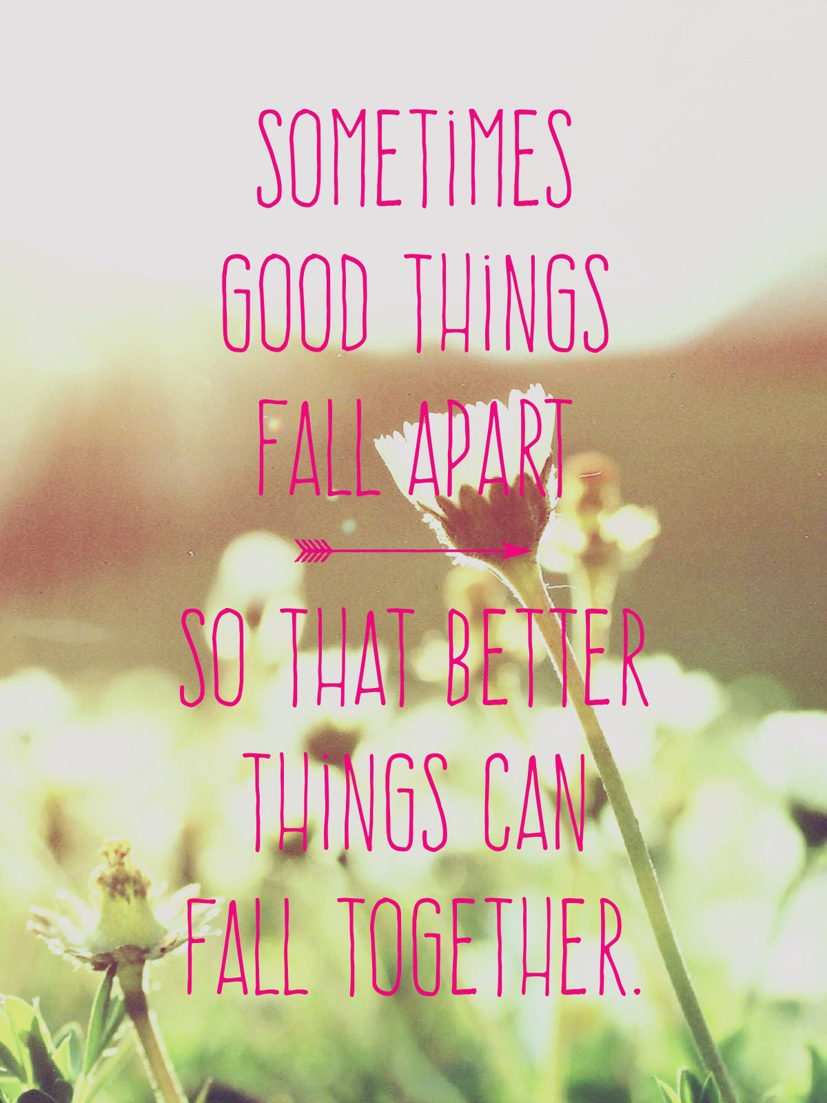 NHK Radio News Transcript 〈9月20日午前9時のNHKニュース〉 | Sophie's Space