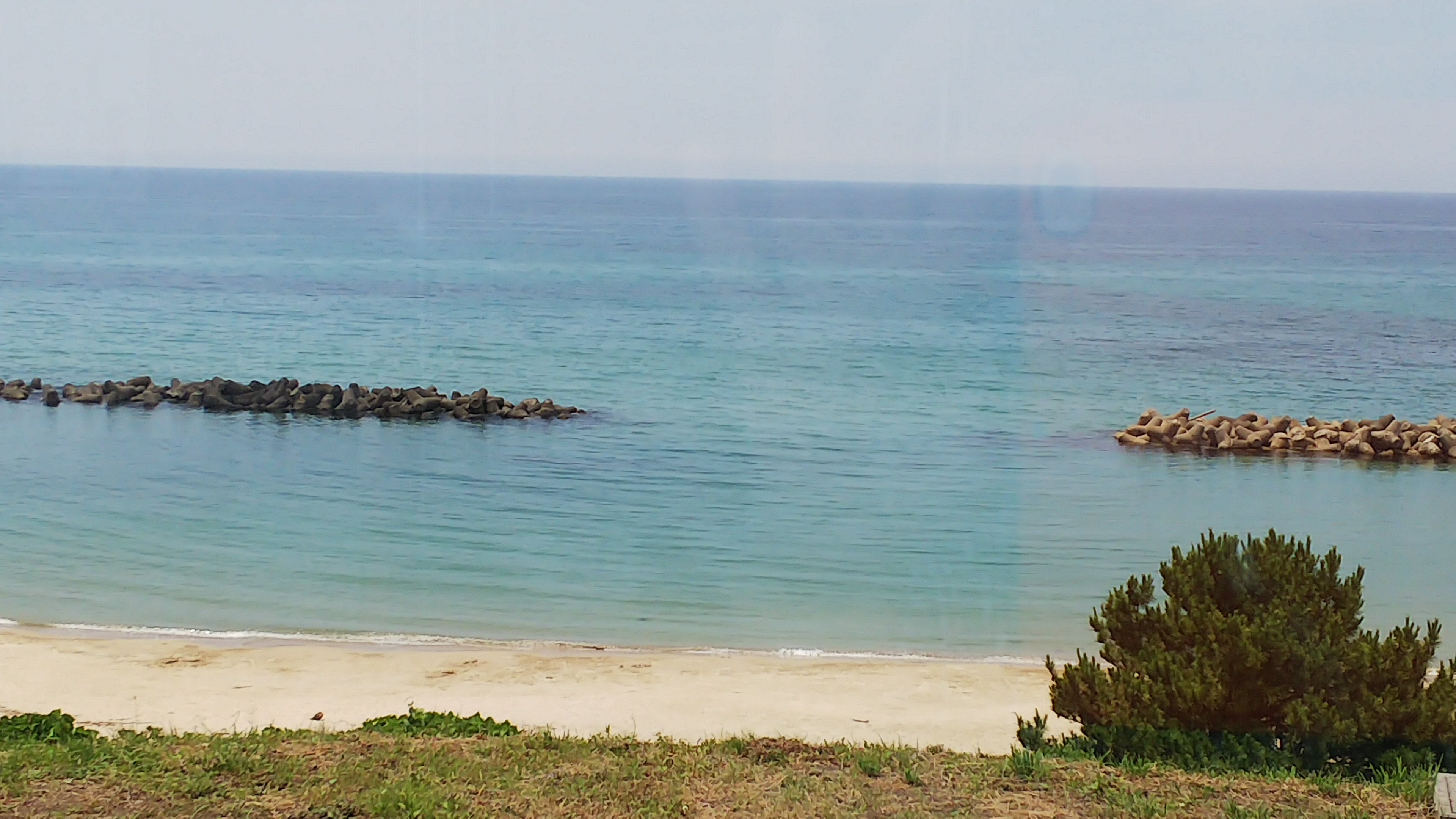 育った環境 | 残りの人生が少しでも楽しいものになるように