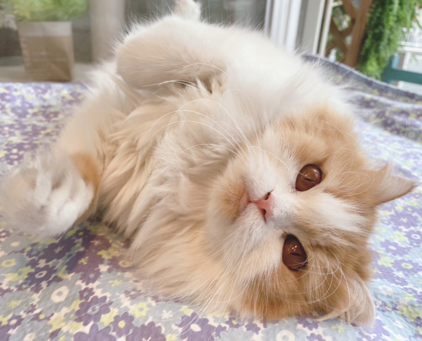 office製品使用時"情報を取得するためにサーバーに接続しています。" のメッ | パソコン設定・障害・不具合