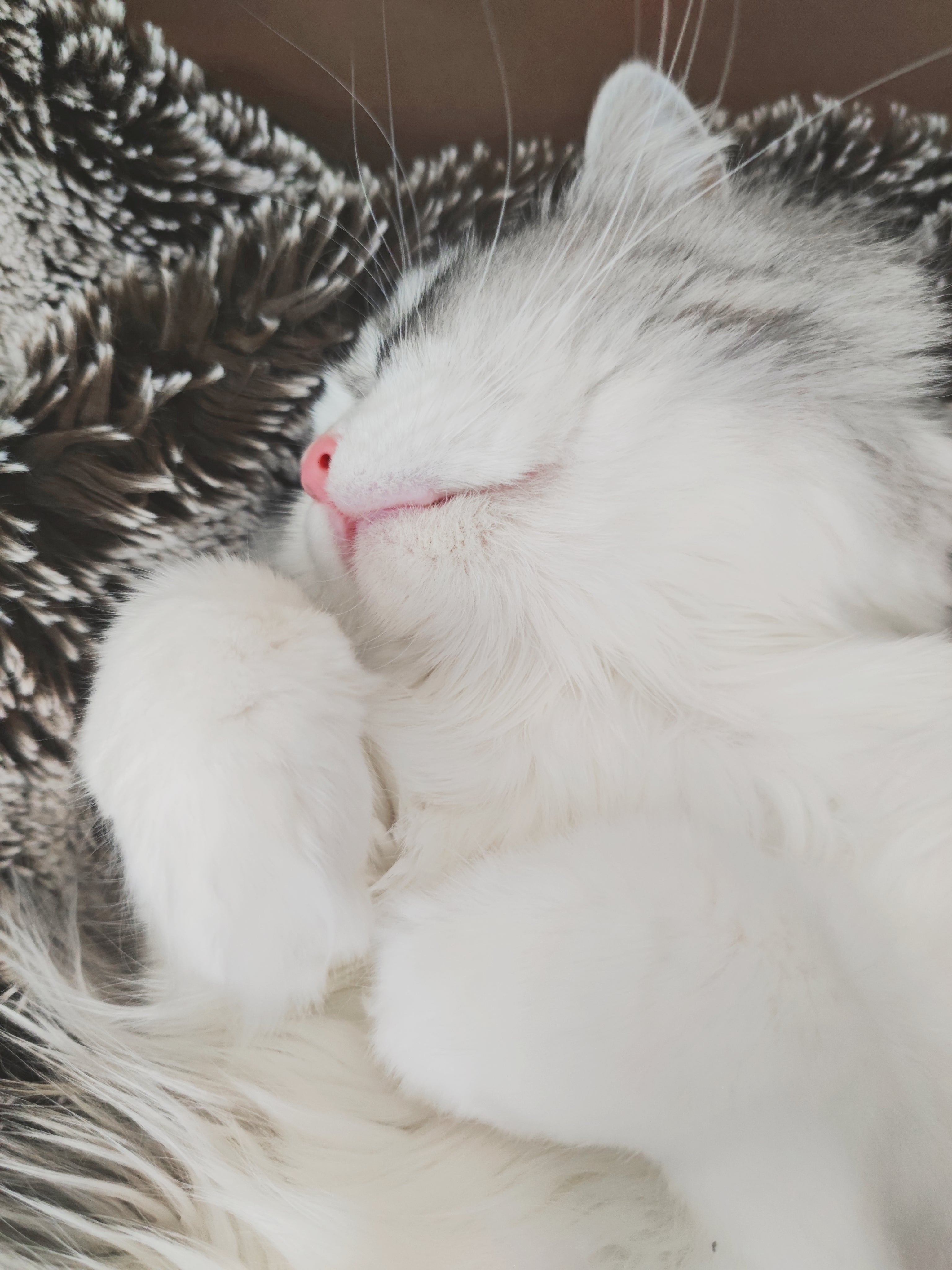 AbemaTV画面録画できないならどうする？裏技大公開！ | Leahのブログ