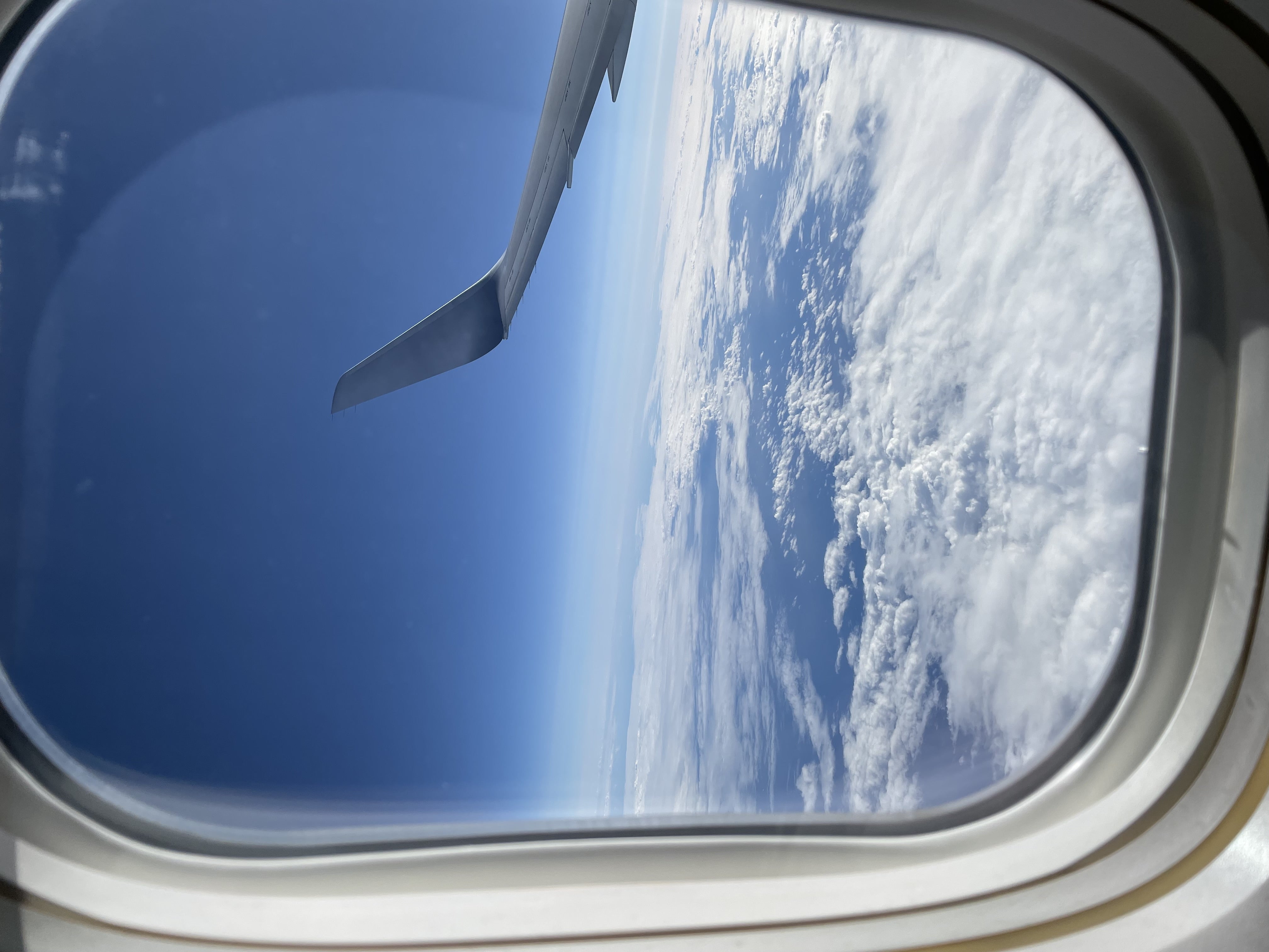 1/8,000,000,000 (One in 8,000,000,000 people) | overseas-adventureのブログ