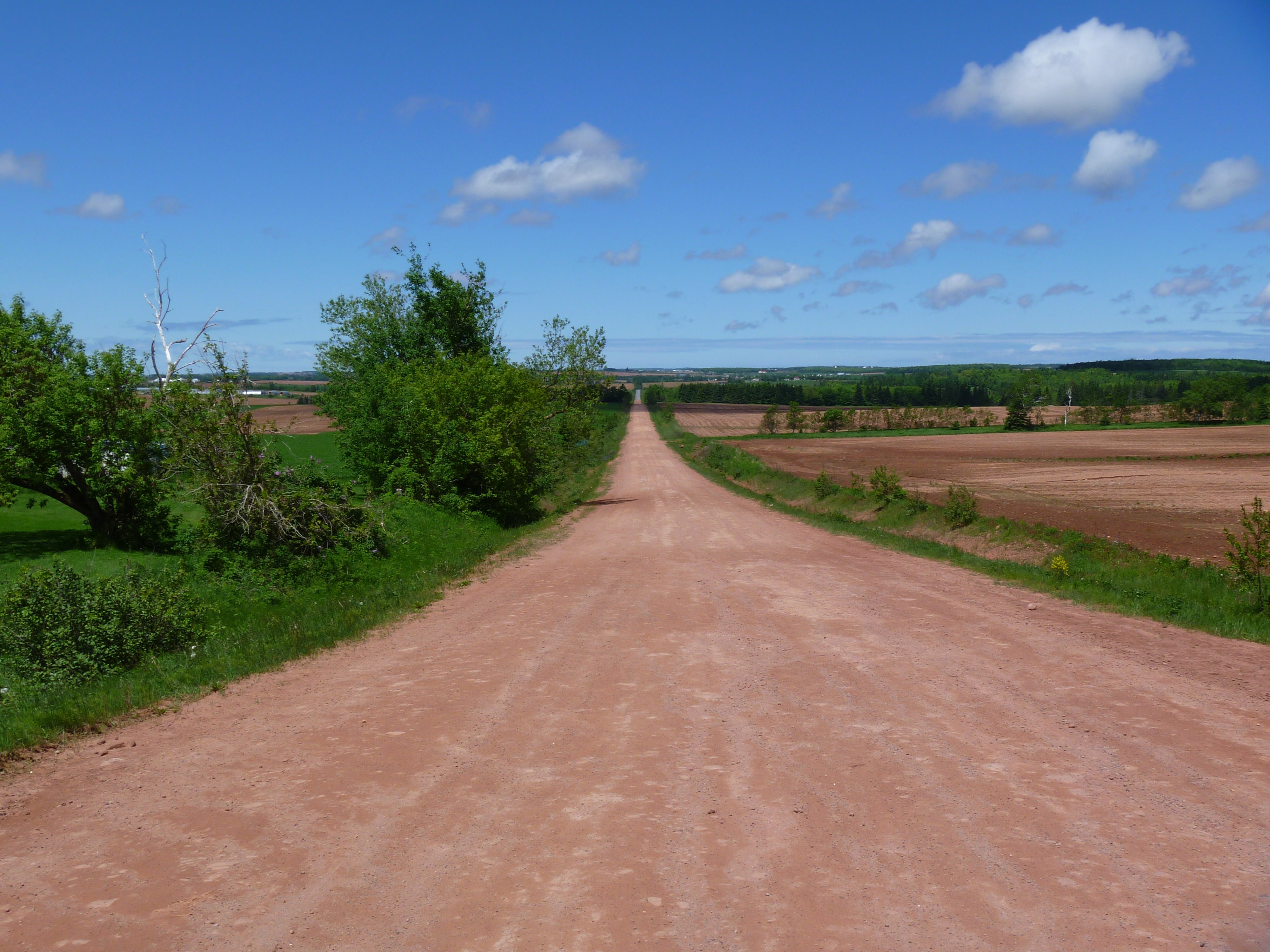 JICAを解体すると財務省にダメージを与えることができるそうです | aozoratomidori1234のブログ