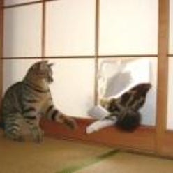 hatumisouさんのプロフィールページ