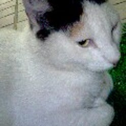 キムコさんのプロフィールページ