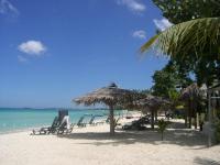 (^O^) | ERIKA'S BLOG☆IRIE DAY