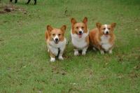 こんな記事が・・・ | ハジメの一歩